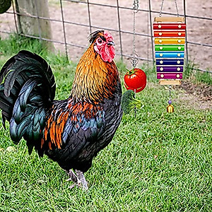 KIEYYRYT 4 PCS Xylophone Chicken Toys for Coop, Veggies Skewer, Fruit Holder, Vegetable Hanging Feeder for Chicken Coop Accessories, Chicken Bells Toys for Hens