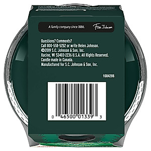 Glade 3-Wick Candle - ICY Evergreen Forest - 6.8oz