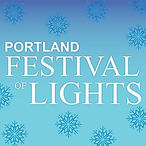 BANNER BUZZ MAKE IT VISIBLE Festival of Lights Banner, Celebrate Festival Sign, 11 Oz Vinyl, Metal Grommets & Hemmed Edges, Perfect for Outdoor Home Garden Decor Banner (4' X 2')