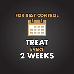 Spectracide Immunox Fungus Plus Insect Control for Lawns, 32 fl oz, Pack of 6