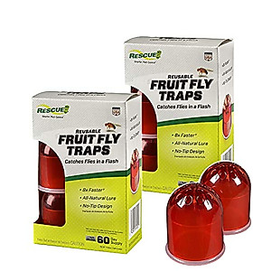 RESCUE! Reusable Indoor Fruit Fly Traps with Non-Toxic Liquid Attractant - 2 Traps, 2-Pack (4 Traps)