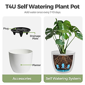T4U 5 Inch Self Watering Planters Plastic Plant Pot, Modern Decorative Flower Pot/Window Box for All House Plants, Flowers, Herbs, African Violets, Succulents - White, Set of 6