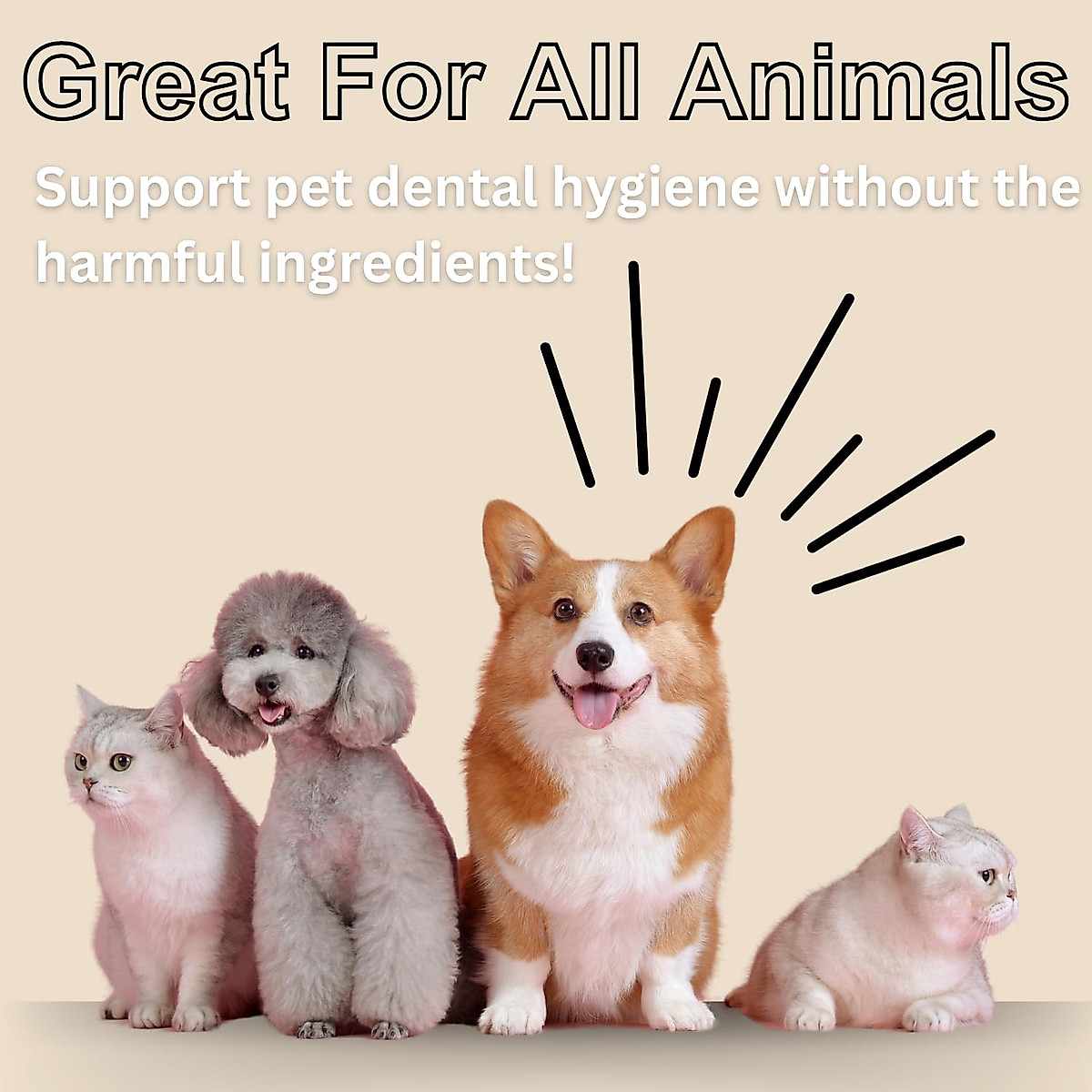 SYLVR SUPPORT- Colloidal Silver & Spearmint Teeth & Gum Spray for Dogs & Cats & Pets, Target Bad Breath, Clean Ingredient Pet Oral Care Solution (4 oz.)