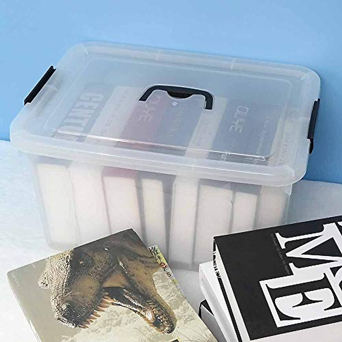 Nicesh 17.5 L Plastic Large Storage Box, Clear Latch Bin with Handle and Lid, Set of 4