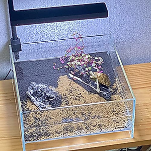 LANDEN Natural Tonwa Stones Slate Stones for Aquariums Terrariums, Paludarium,Vivariums, Reptile and Amphibian Enclosures (17lbs, 2 to 8 inches)