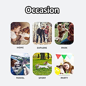 HDKUW Dog Winter Coat with D Ring, Super Light Dogs Warm Coat, Waterproof Jacket Vest Apparel for Small Medium Dogs Pink XL