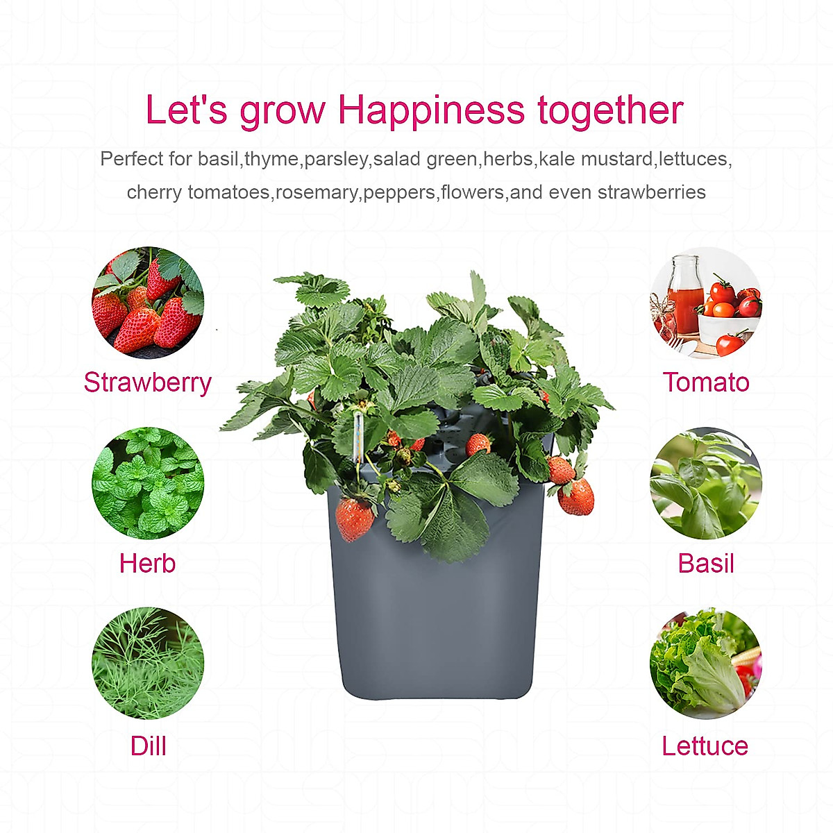 Lawnful 4 Hydroponic Buckets Kit for Plants, Hydroponics Growing System for Herbs/Tomato/Vegetables, DWC System with Air Pump & Germination Tray (Complete Indoor Hydroponic Gardening Supplies)