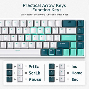 FL ESPORTS F12 65% Three-Mode Wireless Mechanical Keyboard, 68 Keys RGB BT 5.0/2.4Ghz Gaming Keyboard w/Light Tactile Kailh Box White Switch, PBT Keycaps, Durable Durable Battery