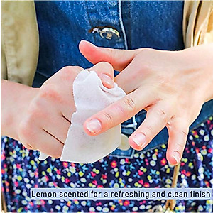 Diamond Wipes Pre-moistened Hand Wipes - “BBQ and Grill” Logo 10x8” Extra Thick Pack of 250 Individually Wrapped Wet Wipes For Cookouts, BBQs, Catering