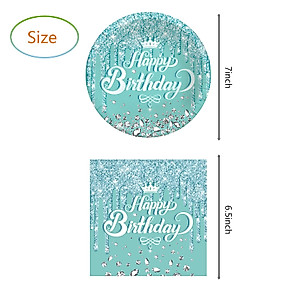 Teal and Silver Birthday Party Supplies, 20 Plates and 20 Napkins, Teal and Silver Theme Birthday Party Decorations for Kid Girls Women Silver Glitter Party Supplies