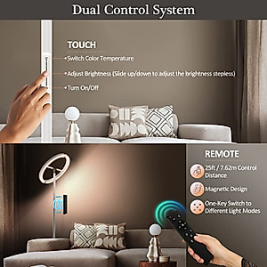 FIMEI Split Floor Lamp, Modern Bright LED Rotatable Floor Lamp with Reading Light for Home, Standing Lamp with Stepless Dimming and 3000K-6000K Color Temperature, Touch and Remote Control-Black