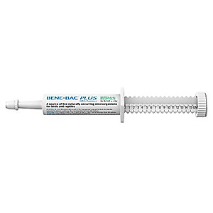 PetAg Bene-Bac Plus Bird & Reptile Gel with Probiotics - Contains Seven Microorganisms - 15 g Syringe