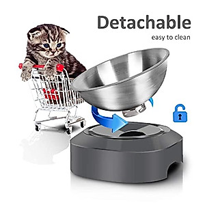 AYADA Raised Cat Food Bowl, Stainless Steel Cat Dish for Food Water Anti Vomiting Elevated with Stand Ergonomic Lifted Slanted Tilted 15 Angle Metal Single Kitty Kitten Wet Food Bowl Pet Bowl (Single)