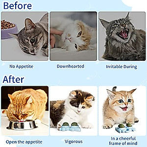 Catnip Balls for Cats Wall Catnip Ball Toy, 2 Pack Edible Cat Nip Ball Double Ball for Cats Chew Toy, Rotatable Interactive Cat Kitten Toys of Indoor Cats for Teeth Cleaning & Soothe the Mood (Blue)