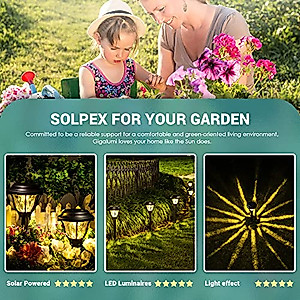 SOLPEX Solar Outdoor Lights Pathway, 6 Pack LED Solar Path Lights, Solar Garden Lights Outdoor Waterproof, Solar Powered Pathway Lights for Yard, Pathway, Lawn (Warm White)