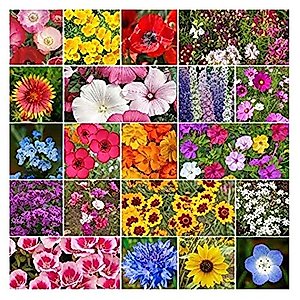 David's Garden Seeds Wildflower All Annual Seed Mix FBA-00091 (Multi) 200 Non-GMO, Heirloom Seeds