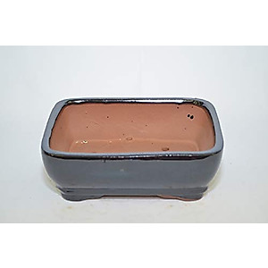 Bonsai Ceramic Pot 7", Black Color, Rectangle Shape, Glazed with draining Holes.