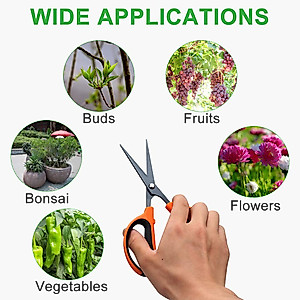 GROWNEER 3 Packs Trimming Scissors Teflon Coated Non Stick Blades Pruning Shears Gardening Hand Pruning Snips with Straight Stainless Steel Precision Blade