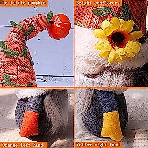 ROGENA Thanksgiving Gnomes Fall Gnomes Fall Decor Thanksgiving Decorations