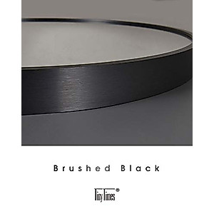 TinyTimes 65''x22'' Arched Full Length Mirror, Floor Mirror with Stand, Full Body Mirror, Wall Mirror, Modern & Contemporary Full Length Mirror, Aluminum Alloy Frame - Black