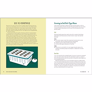 Indoor Grow Room for Beginners: A Step-By-Step Guide to Growing Marijuana