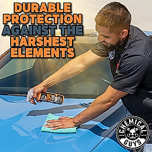 Chemical Guys WAC_808_16 Hybrid V7 Optical Select High Gloss Spray Sealant & Quick Detailer (Safe for All Finishes Including Ceramic Coatings), 16 fl oz, Orange Scent