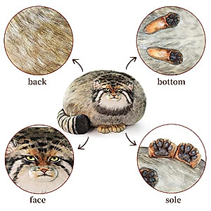 Dinyinor Cat Plush Body Pillow,Children's Plush Animal Toy,Soft & Comfortable Stuffed Animal Plush Toys,Gift for Girls Boys Girlfriend(18 in)