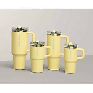 Stanley Quencher ProTour Flip Straw Tumbler with Leakproof Lid 14 oz | Built-In Straw and Handle | Cup Holder Compatible for Travel | Insulated Stainless Steel Cup | BPA-Free | Pomelo