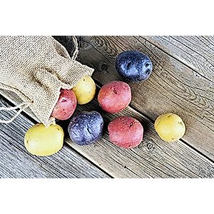 Seed Potato Mix, 5 lbs. Certified Seed Non GMO Red Lasoda, Golden Yukons and Blue (5)