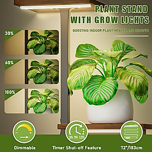Plant Stand Indoor with Grow Light - 2 Pack Metal Plant Shelf for Indoor Plants Multiple, 5 Tiered Corner Plant Stand Shelves, Plant Rack Display Flower Holder for Living Room Patio Balcony Décor