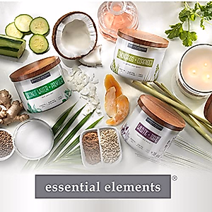 Essential Elements by Candle-lite Scented Candles, Lemongrass & Coriander Fragrance, One 14.75 oz. Three-Wick Aromatherapy Candle with 45 Hours of Burn Time, Off-White Color