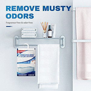 Vacplus Moisture Absorber, 10 Pack Portable Dehumidifiers for Closet and Enclosed Space, 14 OZ Dehumidifier Bags Effectively Trap Extra Moisture, Hanging Moisture Absorbers Eliminate Unpleasant Smell