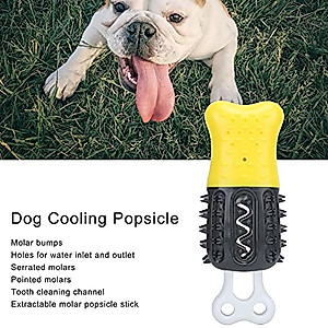 JOROBURO Dogs Cooling Chew Toys, Popsicle Bone Shape TPR Dog Freezing Teething Chew Toy, Summer Freeze Interactive Toys for Puppies Small and Medium Dogs (Popular Colors)