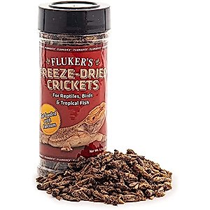 Fluker's Freeze Dried Crickets Reptile Food 1.2oz - Includes Attached DBDPet Pro-Tip Guide