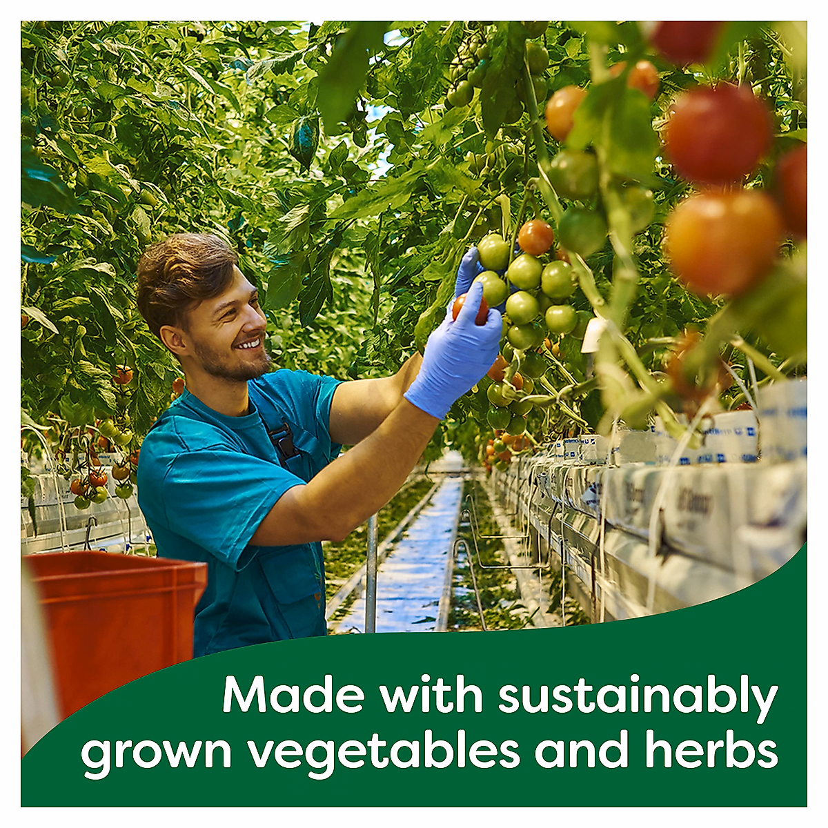 Knorr Chicken Stock Gel Pots 8 Pack 224g