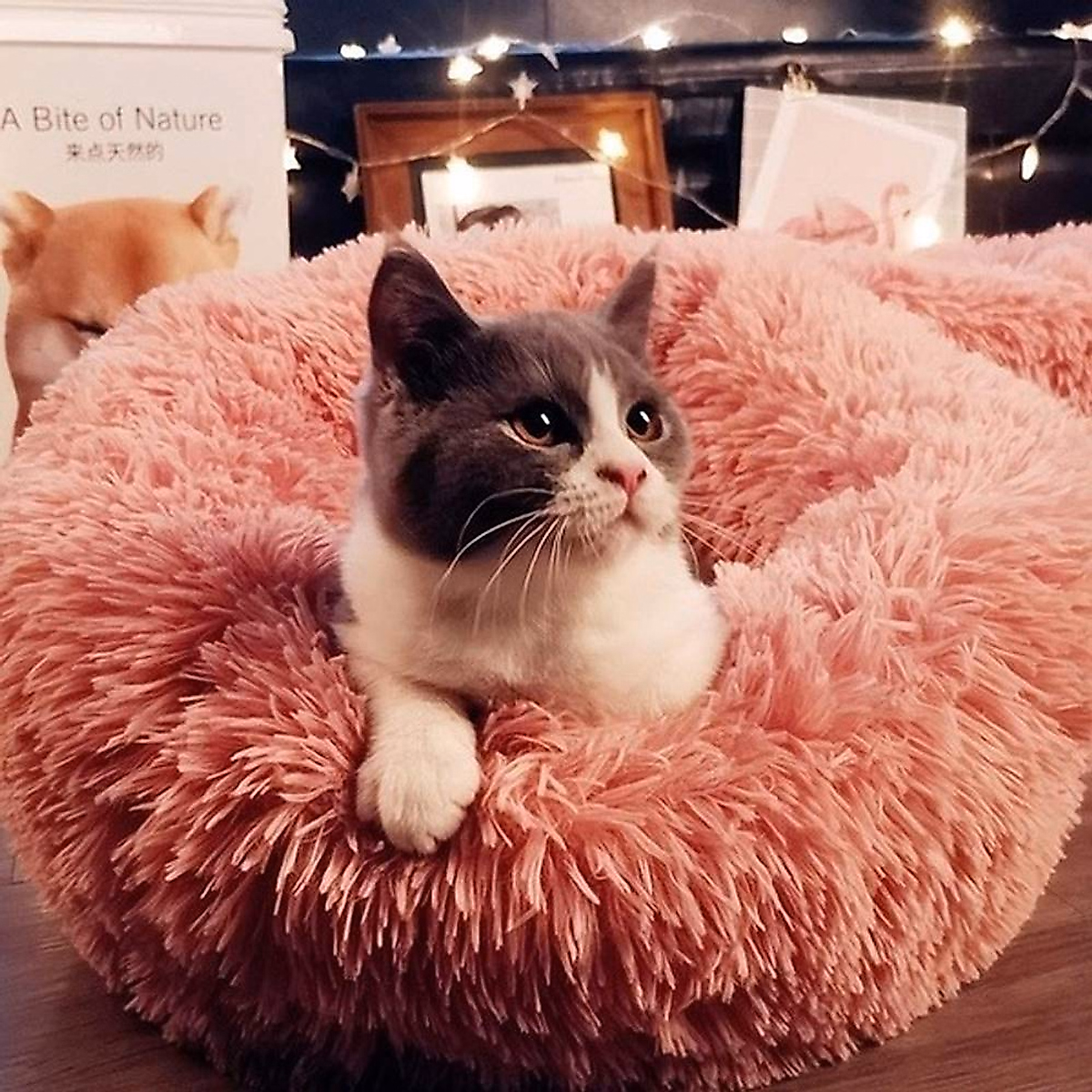 otoez Kitten Puppy Bed Extra Small XS Round Dog Cat Beds Anti Anxiety Plush Pet Calming Donut Bed with Non-Slip Waterproof Bottom, Washable (15.7", Pink)