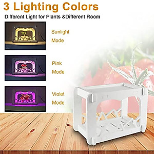 Ldmhlho Led Herb Garden Light Kit for Christmas Gift, Full Spectrum Grow Light with Timer and Dimmer for Succulents, Vegetables, Potted Plants with DC 12V Safety Output