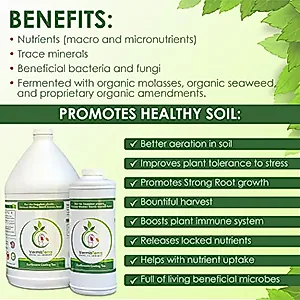 VermisTerra Earthworm Casting Tea - Organic Worm Tea - Gallon - Soil Conditioner Concentrate - Living Enzymes, Nourish Plants and Boost Growth - Feeds All Crops: Vegetables, Flowers, Fruit and Trees