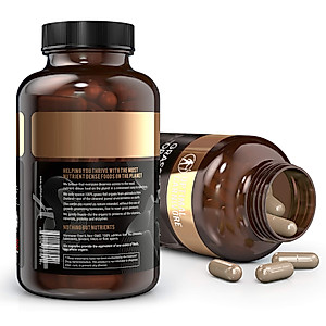 Optimal Carnivore Beef Organ Supplement, Grass Fed Beef Organs for Men & Women, 9 Organ Complex, Organ Meat - Beef Liver, Brain, Thymus, Lung, Gallbladder