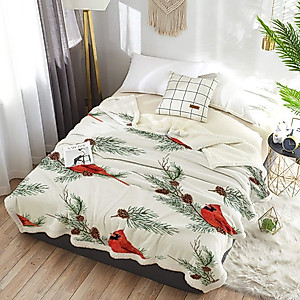 Yunnist-Store Cozy Sherpa Fleece Throw Blanket Cardinal Birds with Pine Cones Leaves Super Soft Plush Microfiber Throws, Christmas Warm Fuzzy Blankets for Bed Sofa Couch Decor