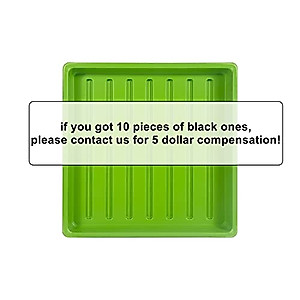RooTrimmer 10-Pack Microgreen Seed Starter Grow Trays for Seedlings, Shallow Seeding Germination Flats Non Standard 1010 Tray no Holes Plant Sprouter Propogation Tray