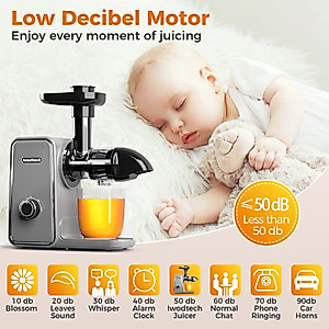 IWODTECH Juicer Machine, Cold Press Juicer with 2 Speed Modes, Slow Masticating Juicer Vegetable and Fruit, Celery Juicer, BPA-Free, Easy to Clean, Galaxy Grey