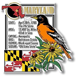 Maryland State Montage Magnet by Classic Magnets, 3" x 3.3", Collectible Souvenirs Made in The USA