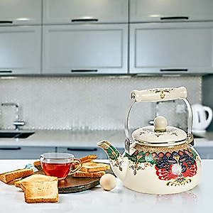 DEAYOU 2.6 Quart Enamel Tea Kettle, 2.5L Porcelain Tea Pot with Handle for Hot Water, No Whistling