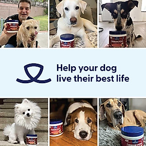 Origin Labs Senior Dog Multifunction Support Omega 3 Supplement, Gut Health Probiotics, Heart, Skin, Liver & Joint Health, Immune Support, Glucosamine Chondroitin, Beef Liver Flavor, 90 Soft Chews