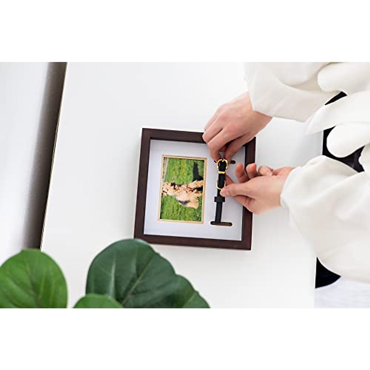 Pearhead Pet Collar Keepsake Frame, Pet Memorial Picture Frame, Pet Owner Home Decor, Cat Or Dog Keepsake, 3" x 4.5" Photo Insert, Wall Mount And Tabletop Frame, Espresso