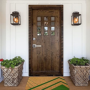 Door Mat 24 X 16 Inch and 32 X 20 Inch Green Line Simple Design Welcome Funny Indoor Outdoor Entrance Doormat Non Slip Welcome Funny Kitchen Bedroom