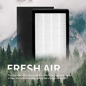 FLT4100 HEPA Filter E Replacement for Air Purifier AC4100, AC4100CA, AC4150BL, AC4150PCA, Funmit 2 True HEPA Filter + 8 Activated Carbon Filter
