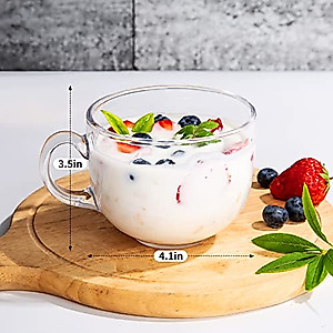 PARACITY Glass Cup 15OZ Clear Coffee Mug with Lids Spoon for Breakfast Tea,Milk,Beverage,Oats,yoghurt