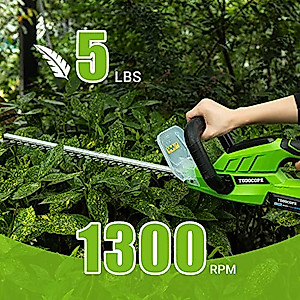 TODOCOPE 20V Cordless 23 Inch Quick Charge 2.0AH Battery Powered Hedge Trimmer, Dual-Action Blade, 5/8" Cutting Capacity & 5 lbs Lightweight Electric Bush Trimmer, Green, (TDC-CHT20)